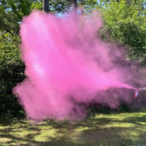 Pink Gender Reveal Fire Extinguisher | I Love Sparklers